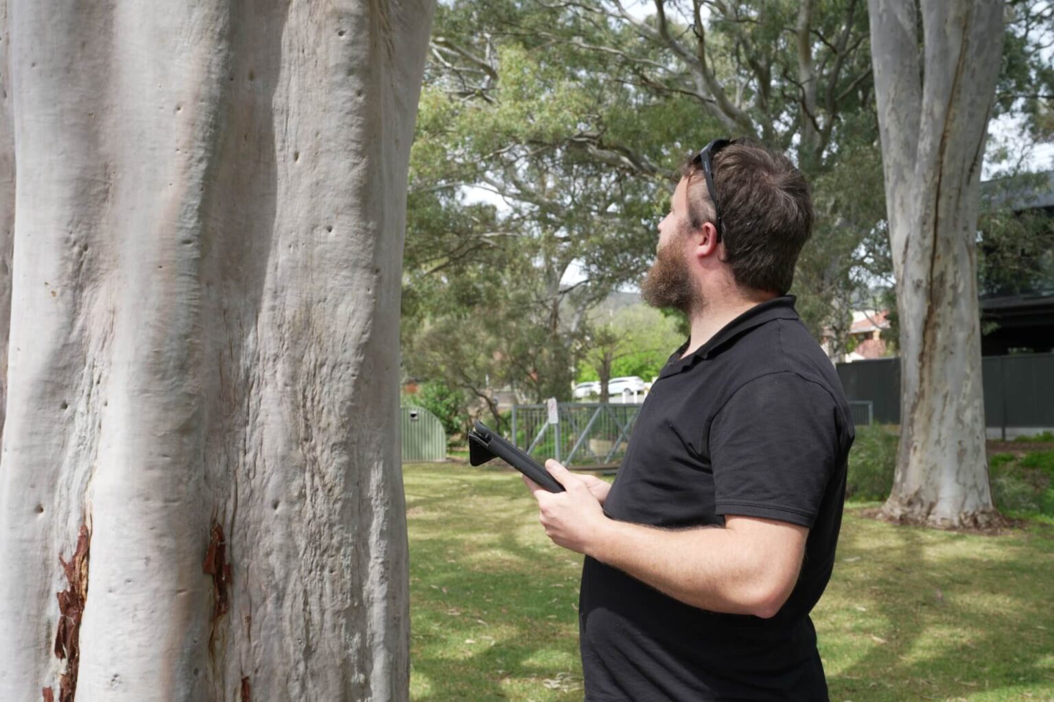 Home - Treesense Consulting